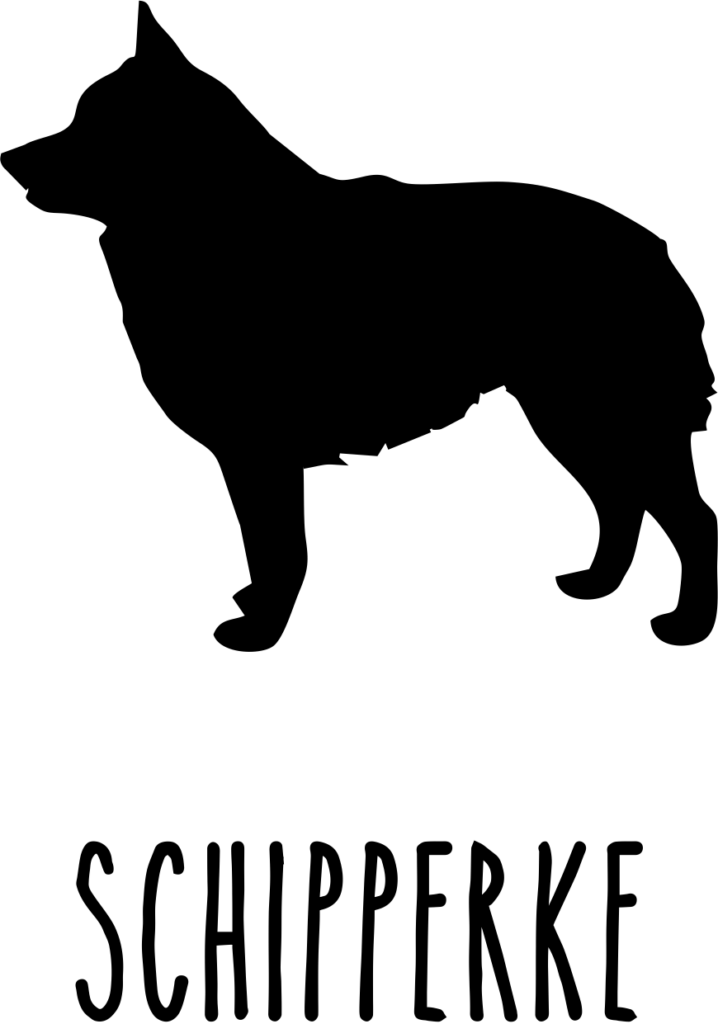 schipperke - DTF PrintCo